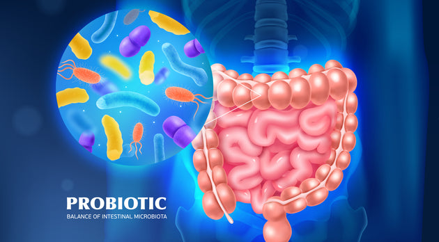 Gut Health and the SOMAVIT SGC Connection – Millennium Herbal Care Limited