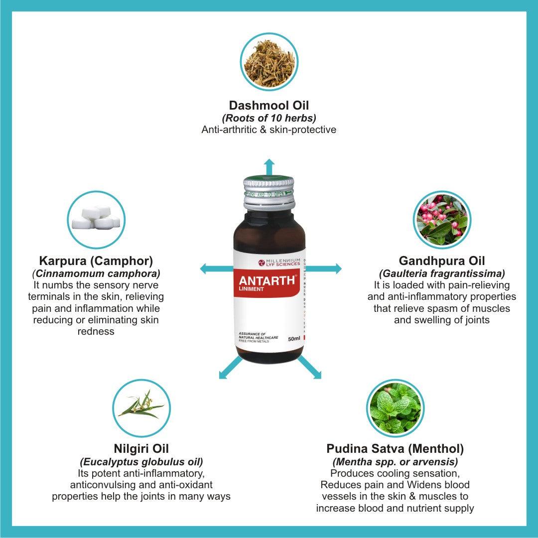 100% Natural Ayurvedic Rapid Pain Relief Oil - ANTARTH LINIMENT ...