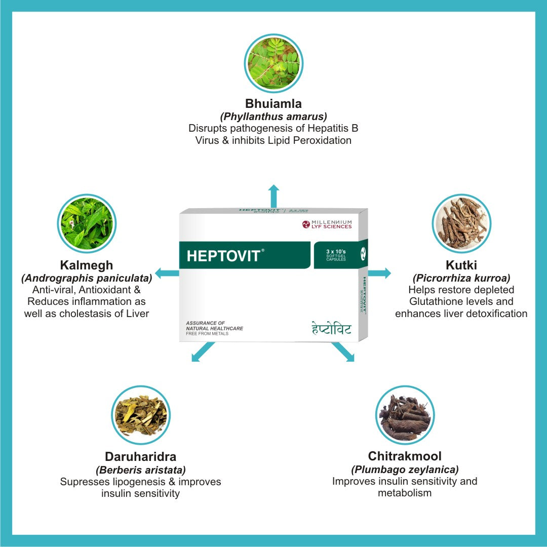 HEPTOVIT SGC | Clinically Proven to Restore Healthy Liver Function ...