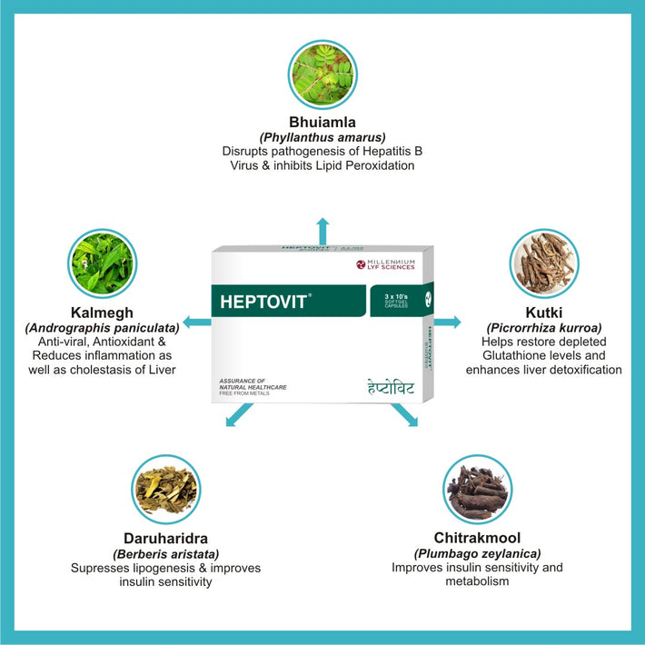 HEPTOVIT SGC | Clinically Proven to Restore Healthy Liver Function ...