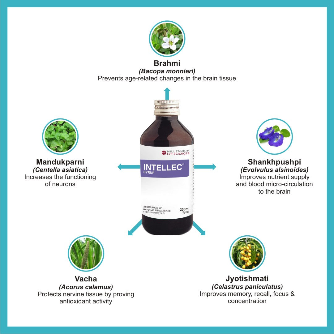 INTELLEC SYRUP | Cognitive Activator to Support Brain Function | 3 ...