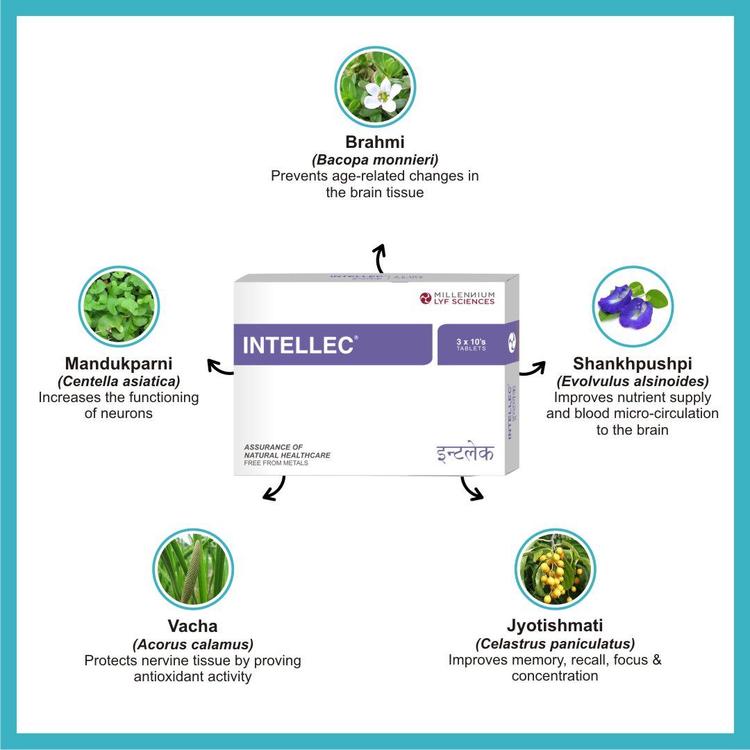 INTELLEC TABLETS | Cognitive Tablets to Support Brain Function ...