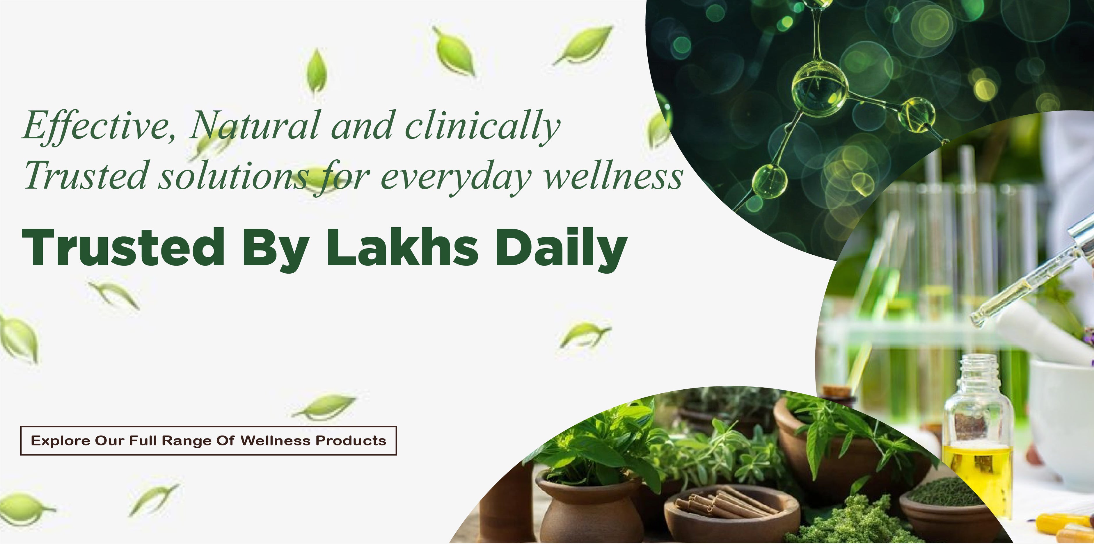 Millennium Herbal Care - Assurance of Natural Health – Millennium ...